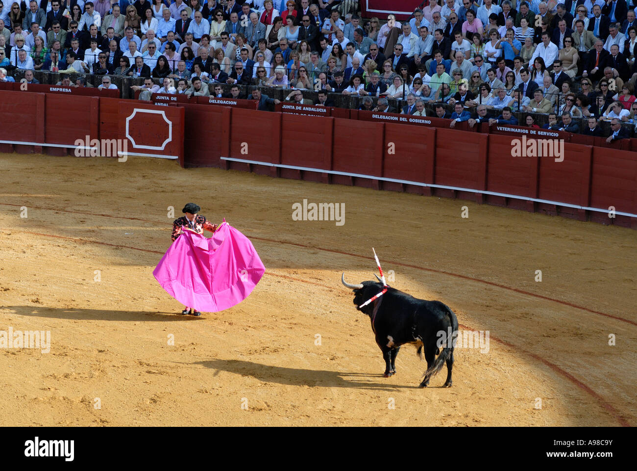 Bullfight in Seville Stock Photo - Alamy