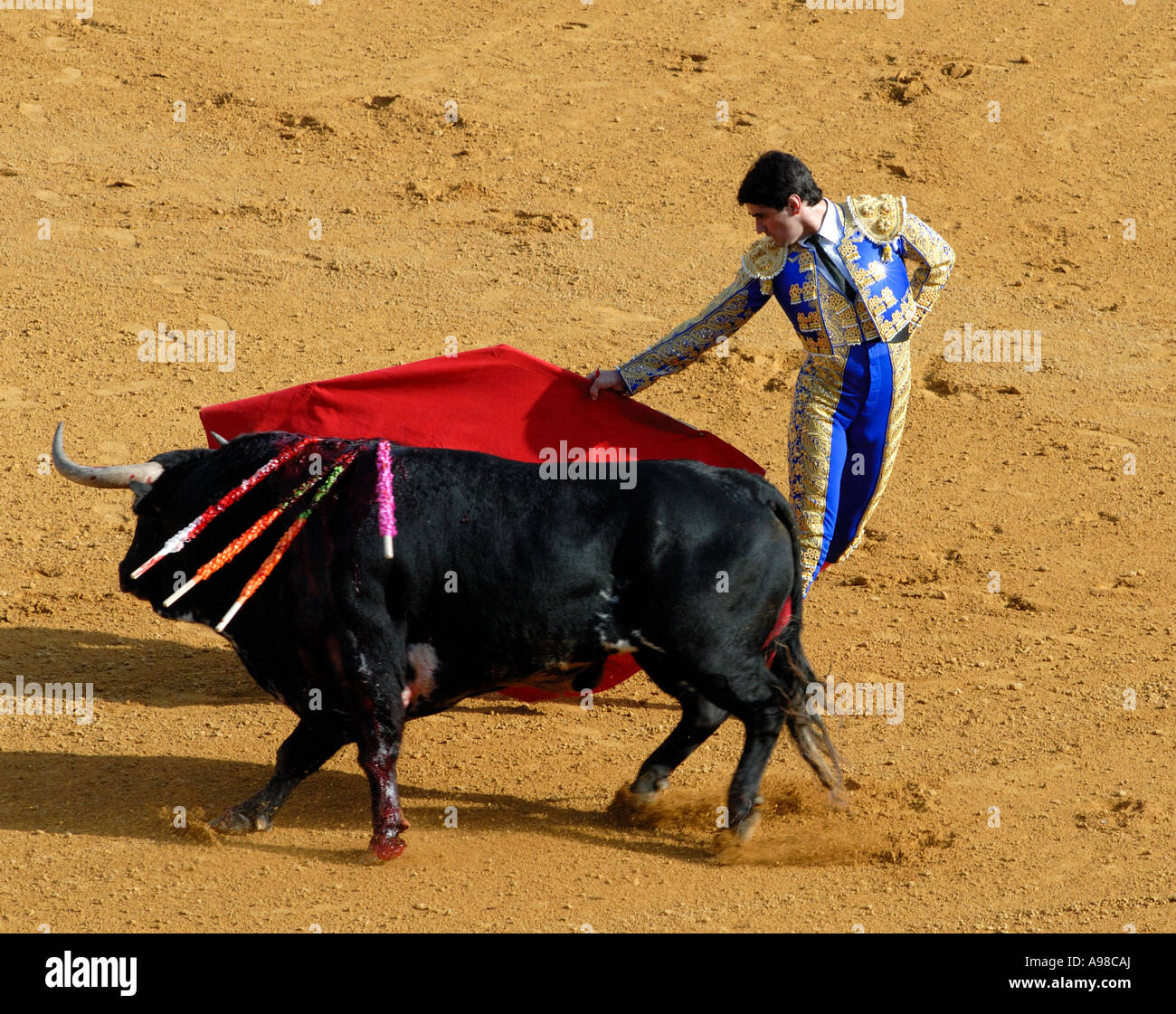 Seville spain bull charging hi-res stock photography and images - Alamy