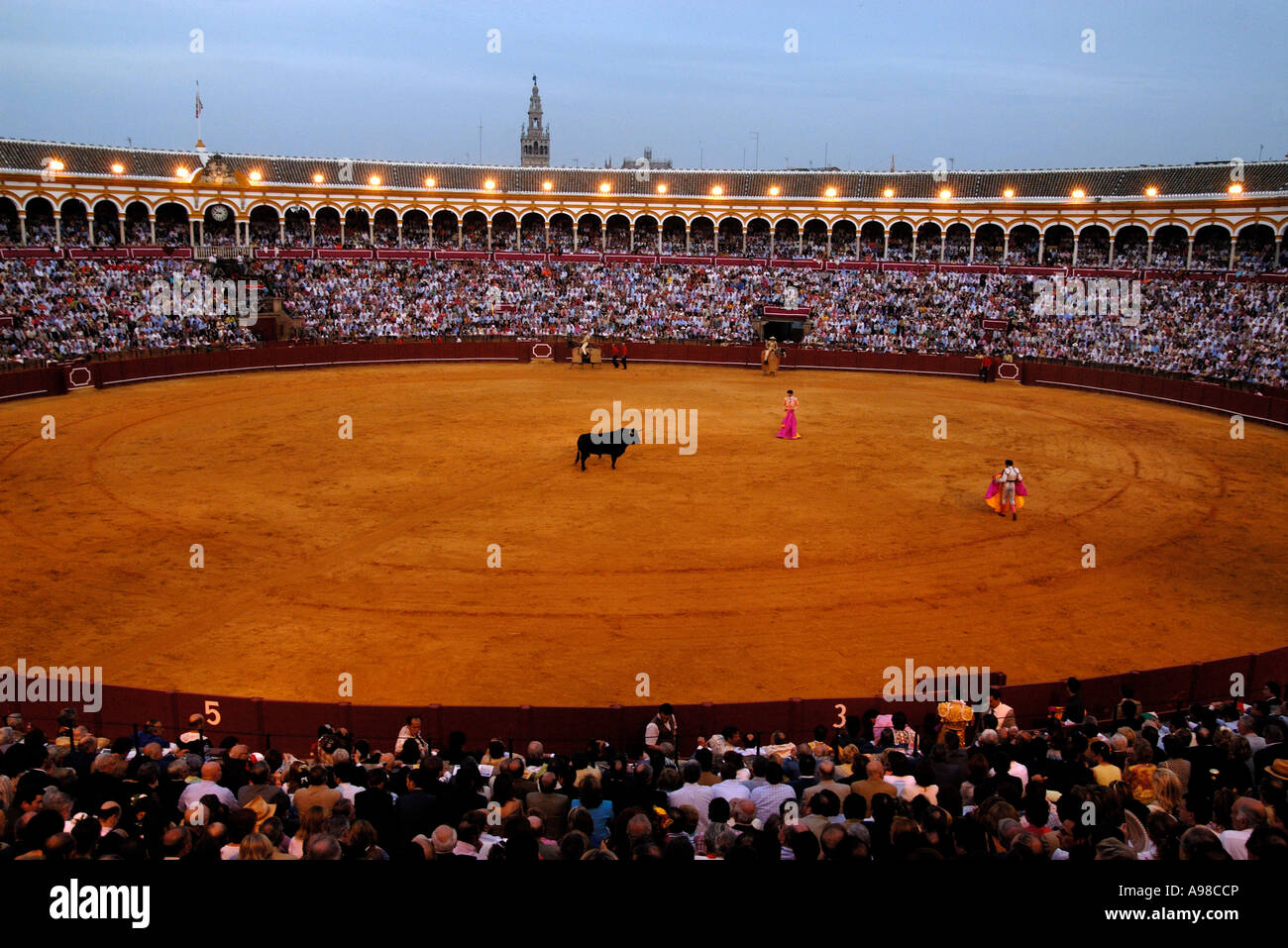 Bullfight in Seville Stock Photo - Alamy