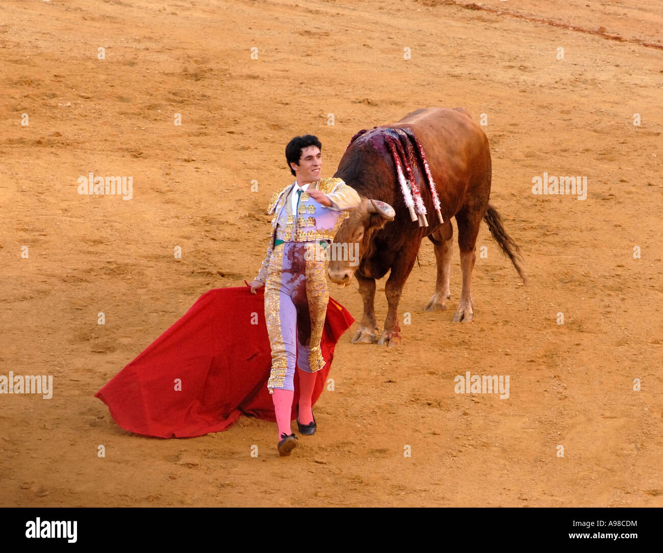 Bullfighter turning back on bull, Seville Stock Photo - Alamy