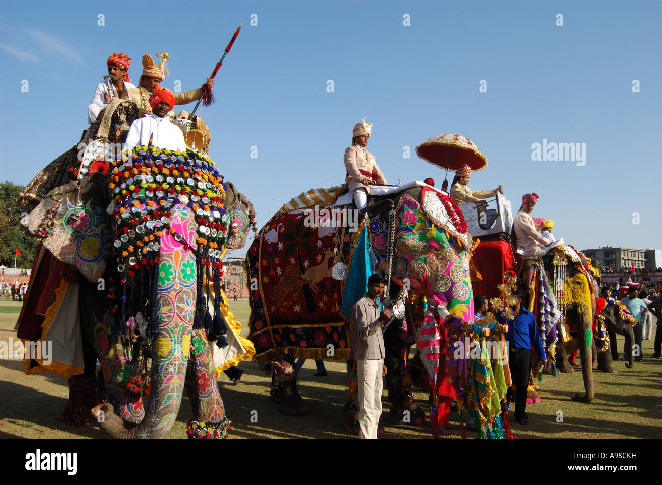 Elephants on parade, Jaipur Elephant Festival Stock Photo - Alamy
