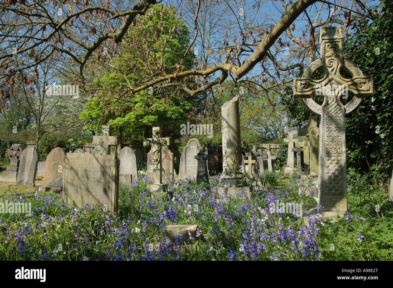 Thames Ditton cemetery England Stock Photo - Alamy