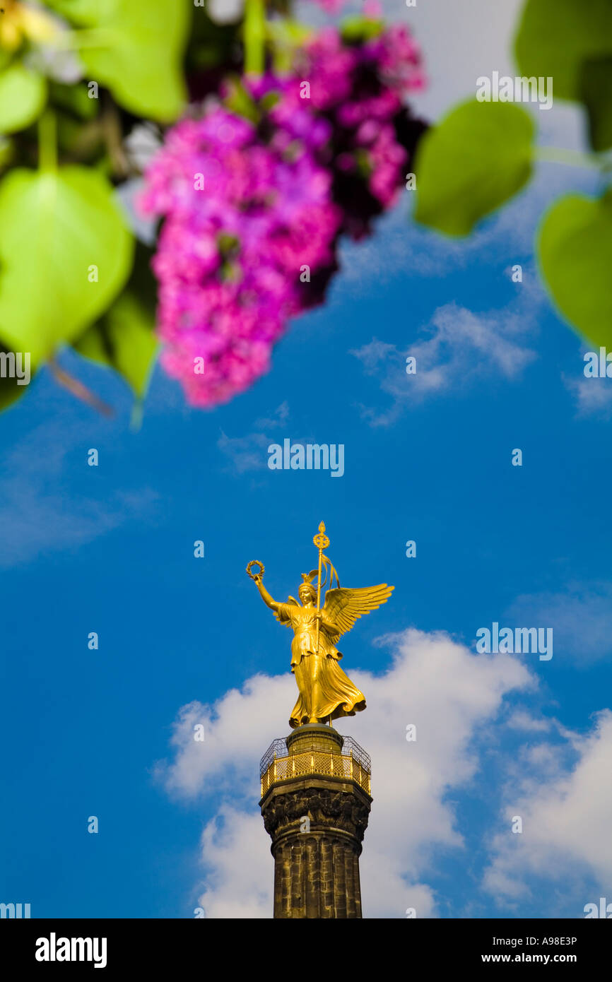 Stern vertikal hi-res stock photography and images - Alamy