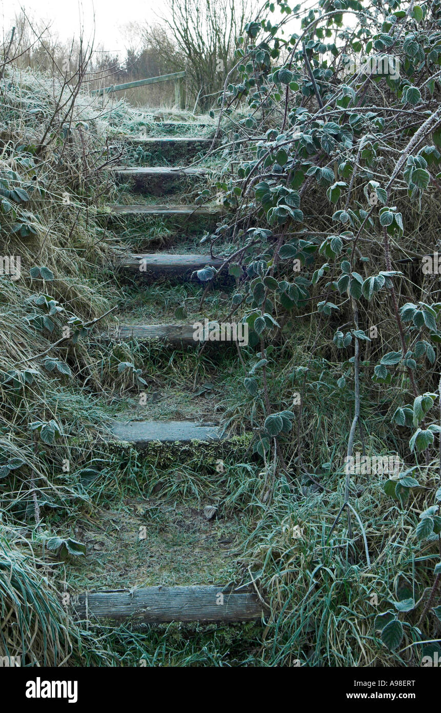 Steps with snow Stock Photo - Alamy