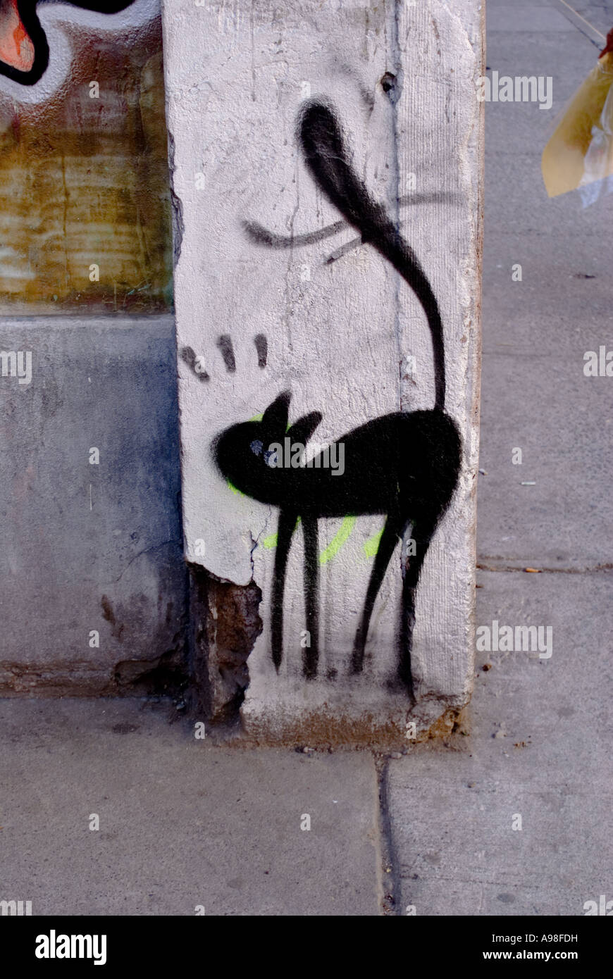 Santiago cat hi-res stock photography and images - Alamy