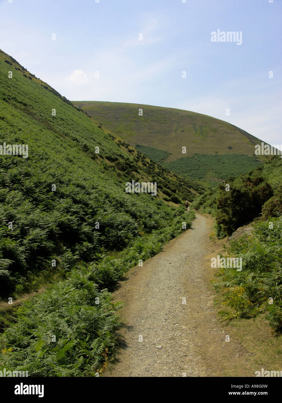 The Long Mynd, Church Stretton, Shropshire, England, UK, United Kingdom ...