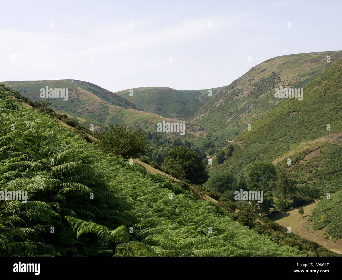 The Long Mynd, Church Stretton, Shropshire, England, UK, United Kingdom ...