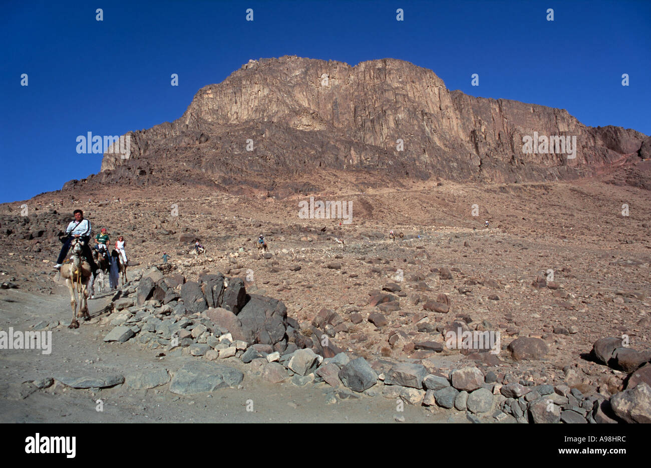 Travelling on camelback on the camel path to the summit of Mount Sinai ...