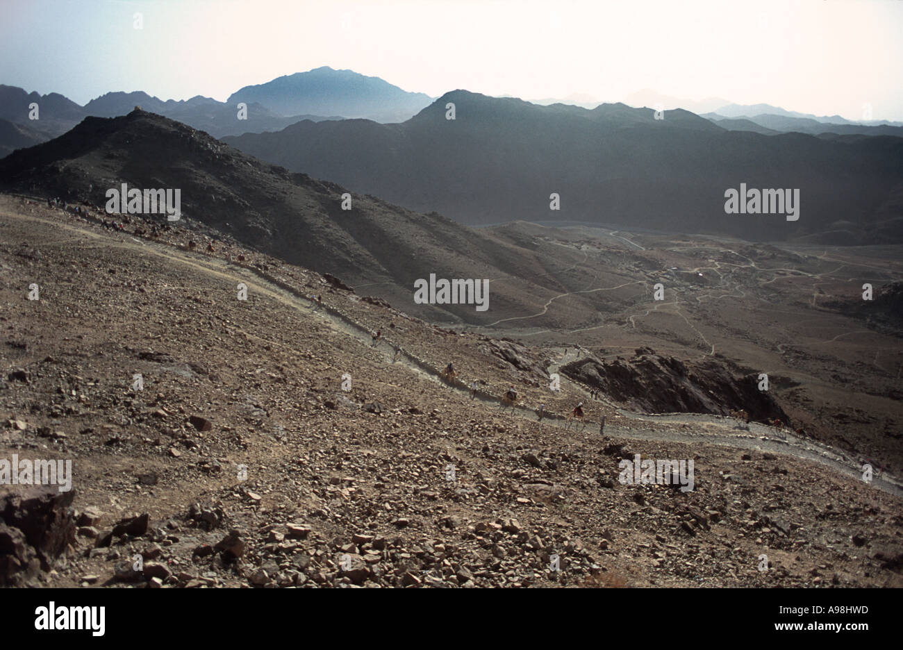 Camel path from the summit of Mount Sinai towards St Catherine s ...