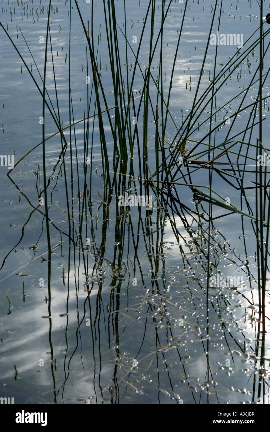 6864 hi-res stock photography and images - Alamy