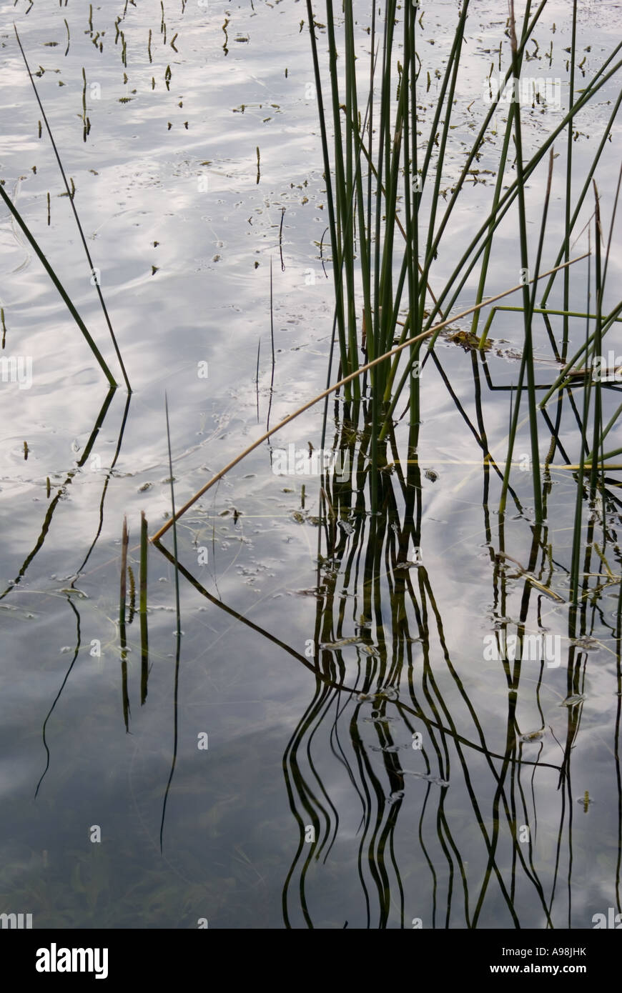 6877 hi-res stock photography and images - Alamy