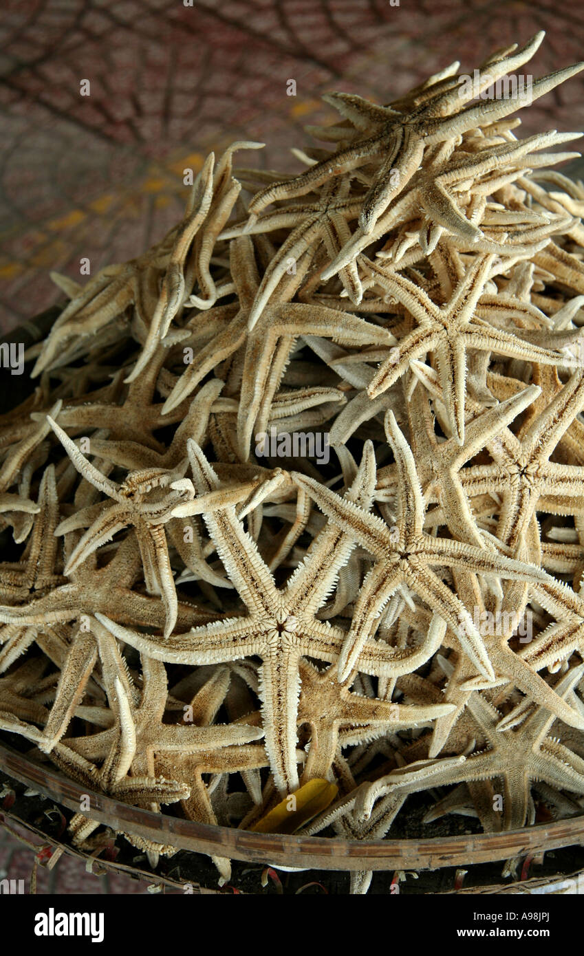 Chinese star fish hi-res stock photography and images - Alamy