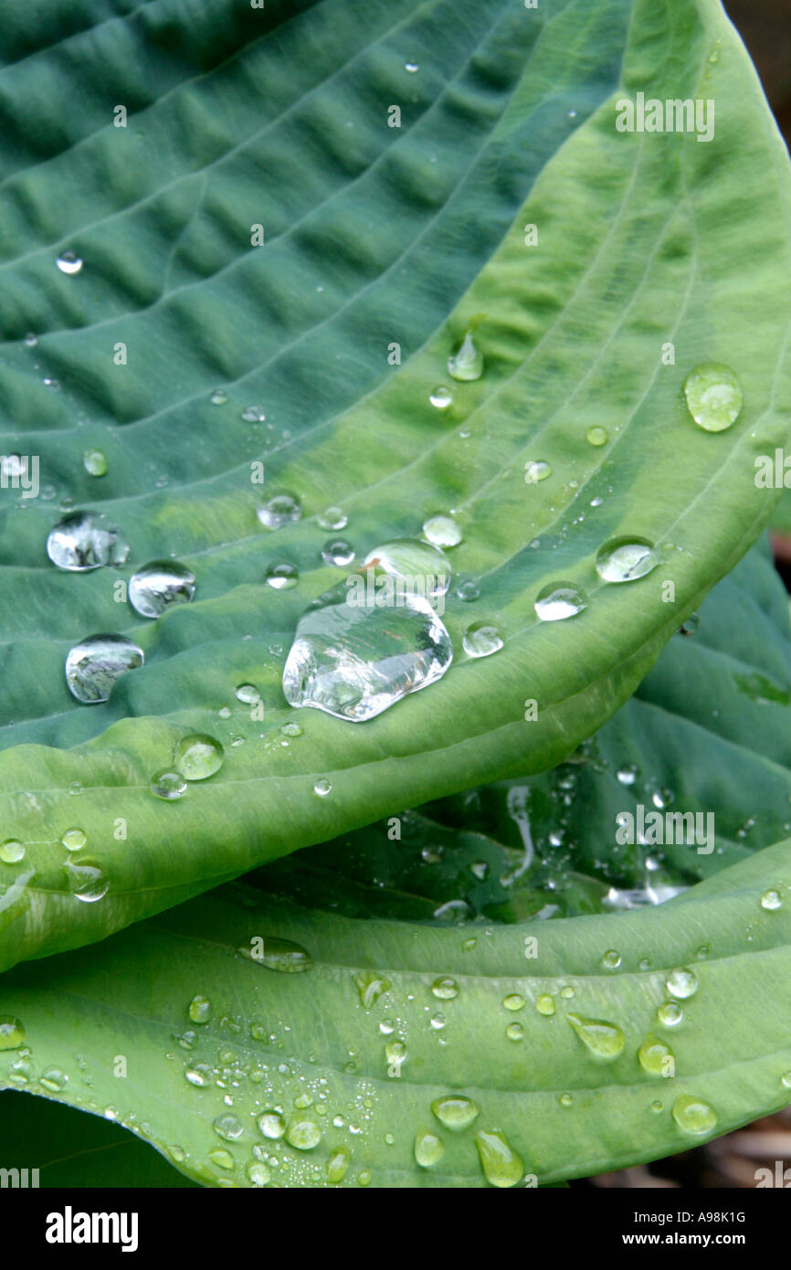 After a rain shower hi-res stock photography and images - Alamy