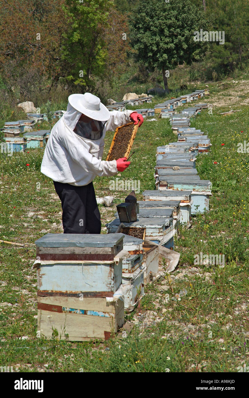 Honey antalya hi-res stock photography and images - Alamy