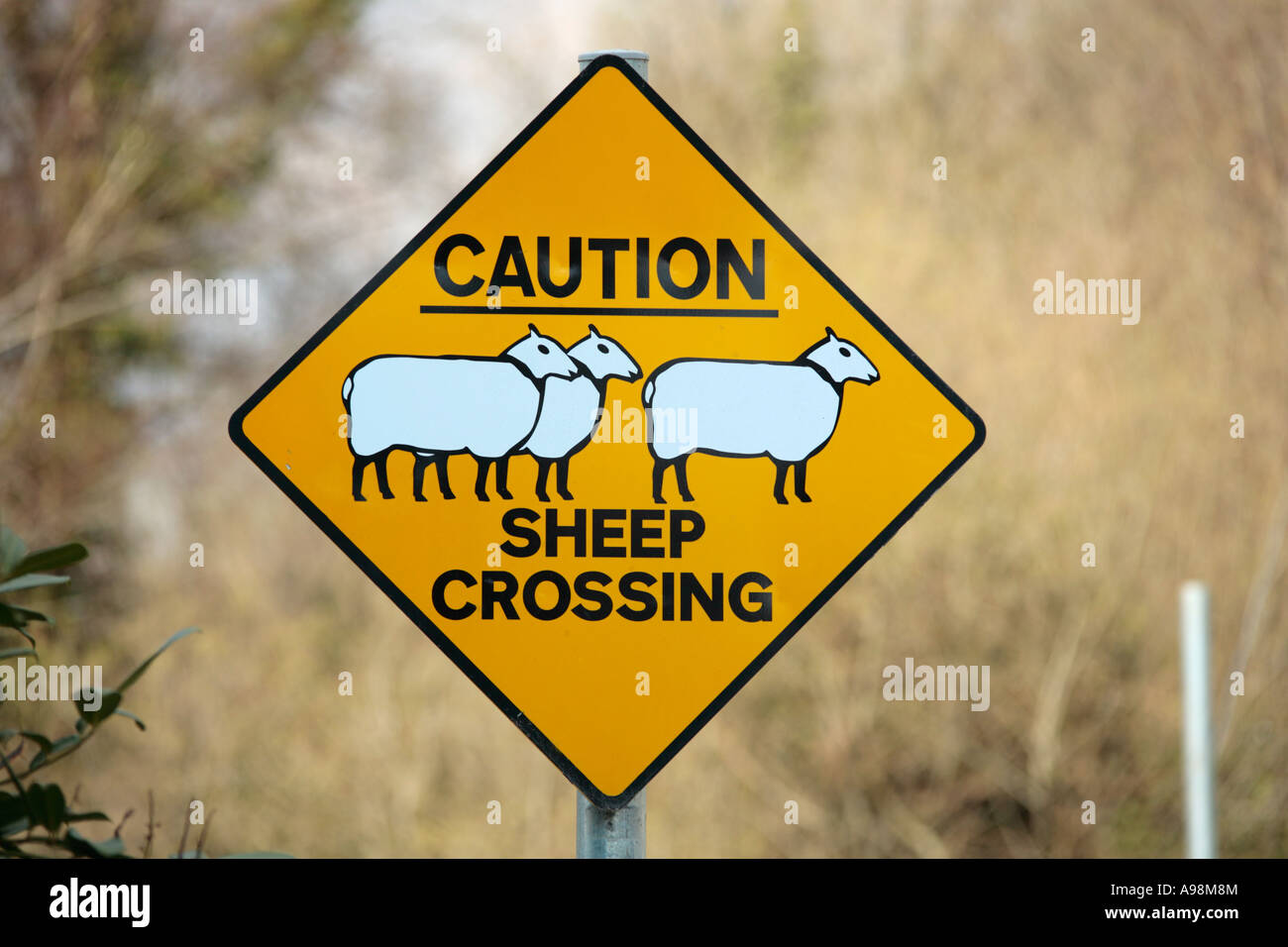 signpost warning of crossing sheep in County Wicklow in the Republic of ...