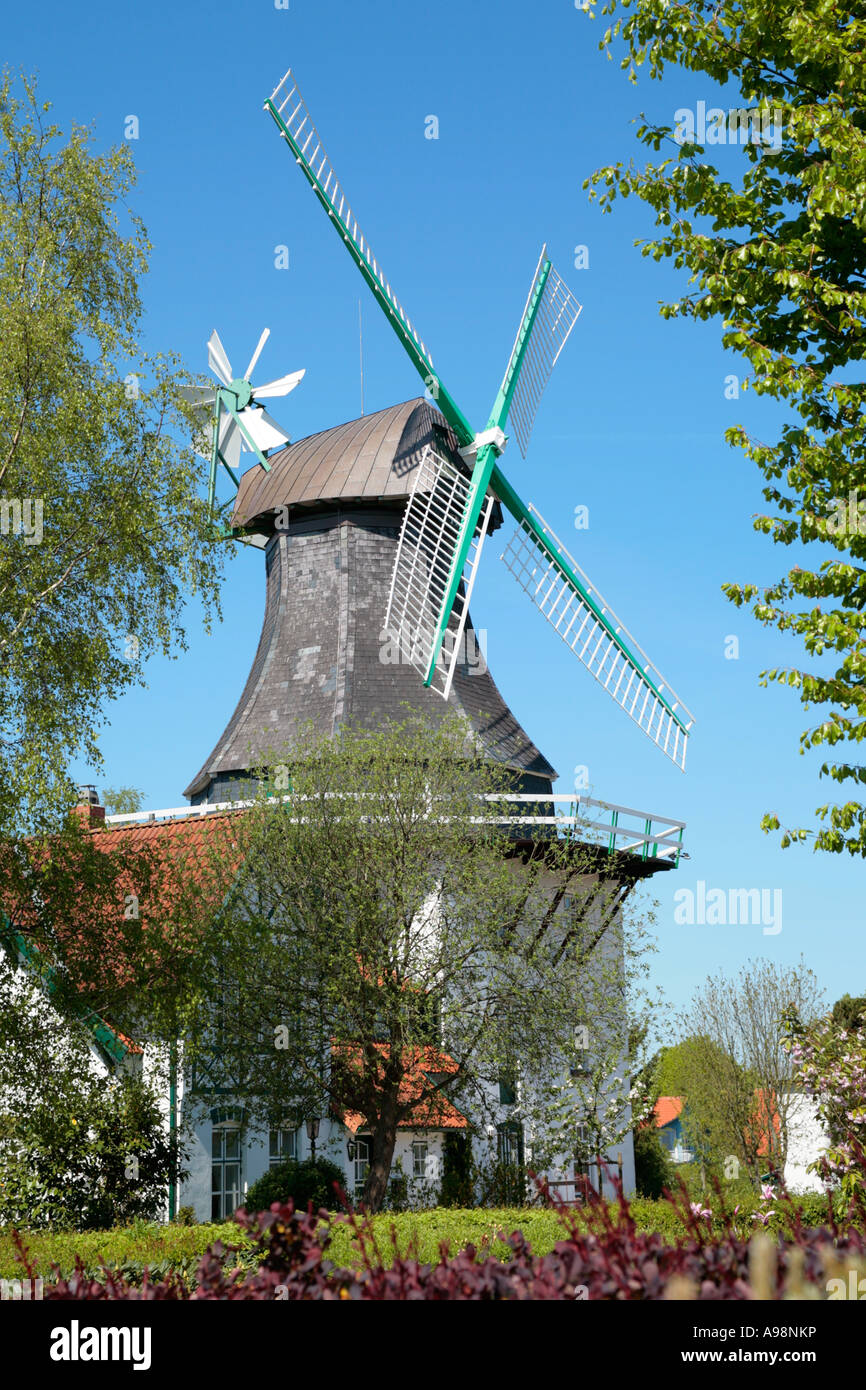 Anna trees hi-res stock photography and images - Alamy