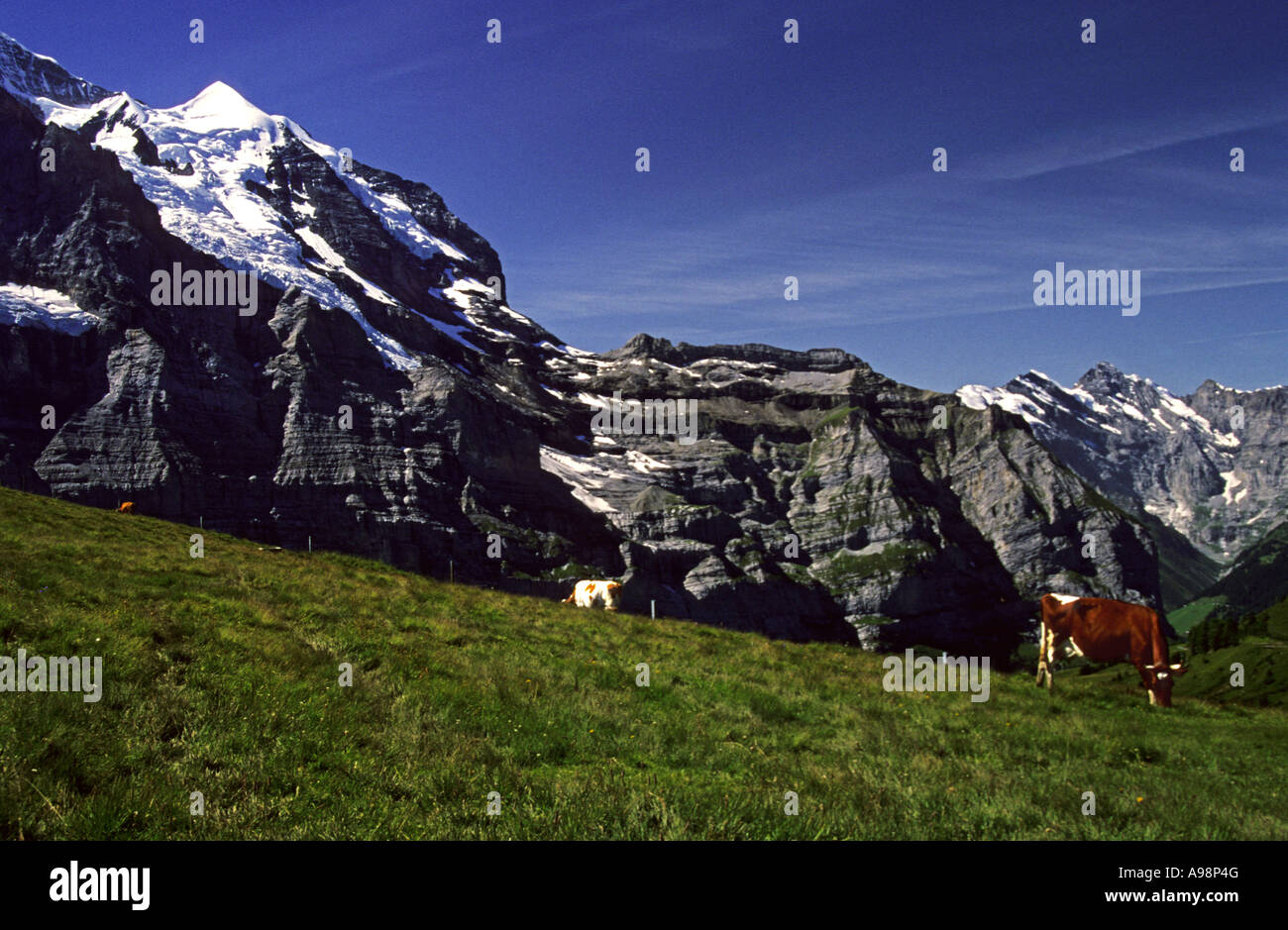 Berber Oberland - Jungfrau, Silberhon - a view from Kleine Sheidegg ...