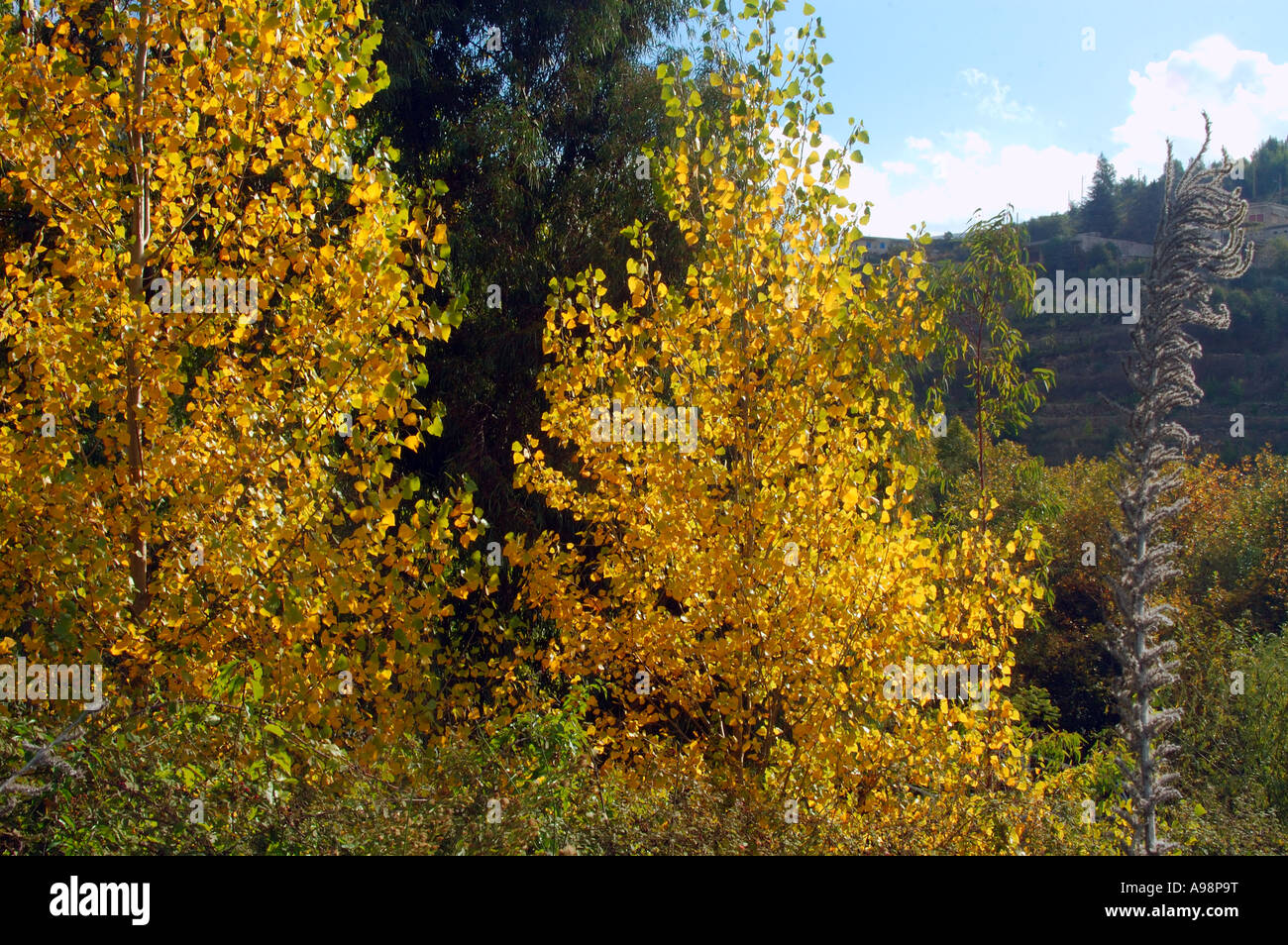 Change of sides hi-res stock photography and images - Alamy