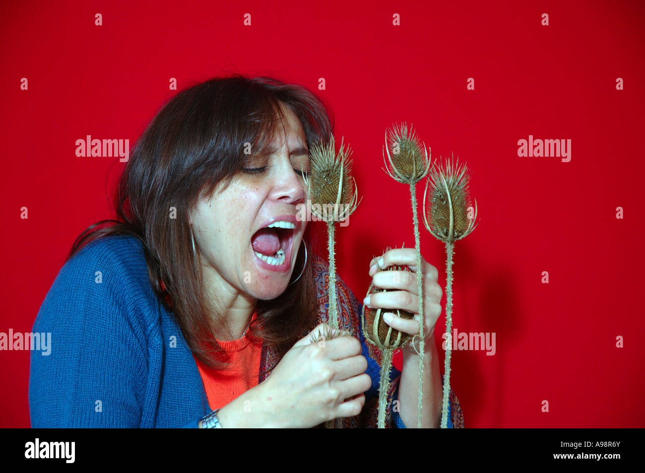 sense of touch Stock Photo - Alamy