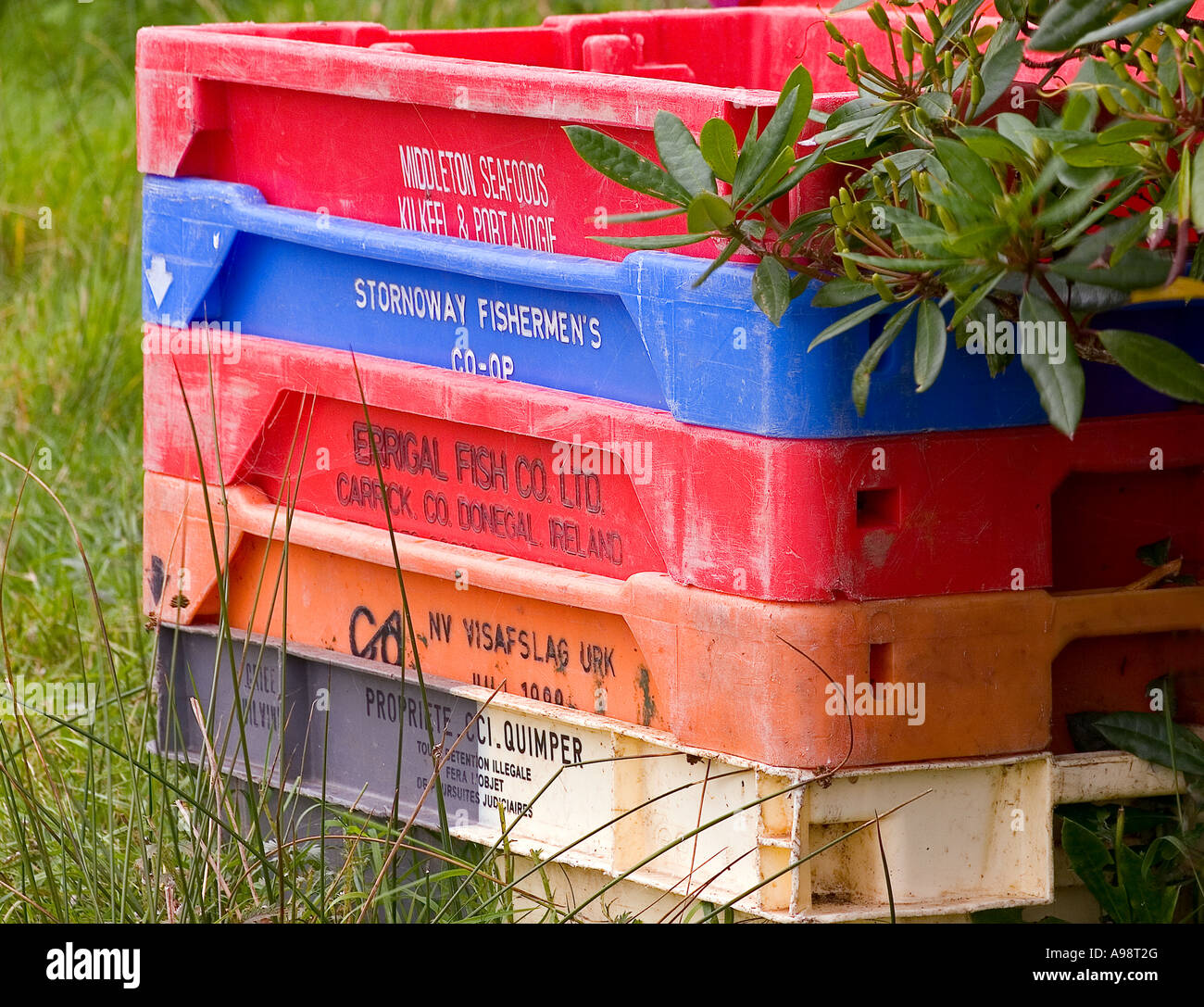 Fish in plastic trays hi-res stock photography and images - Alamy
