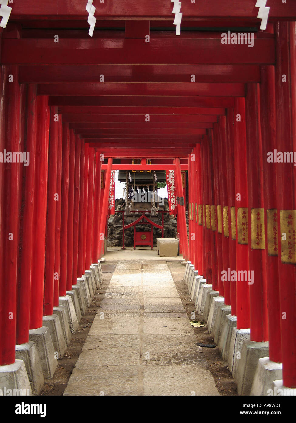 Path of tori gates Shinjuku Tokyo Stock Photo - Alamy