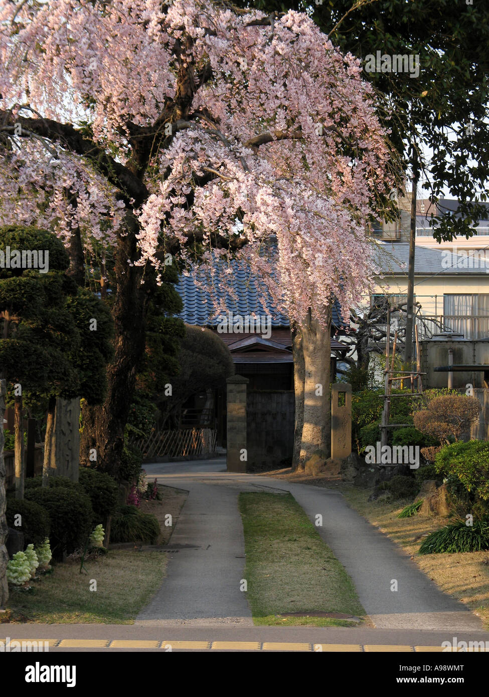 Old temple in Sendai Stock Photo - Alamy