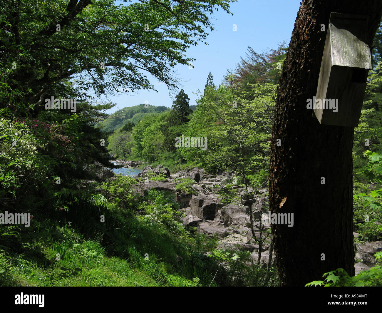 Genbikei gorge hi-res stock photography and images - Alamy