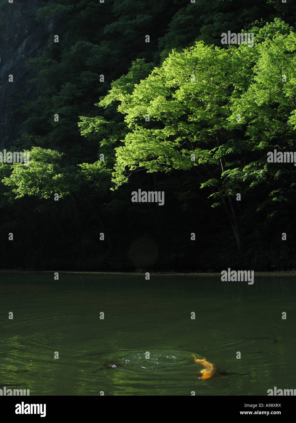 Geibikei hi-res stock photography and images - Alamy