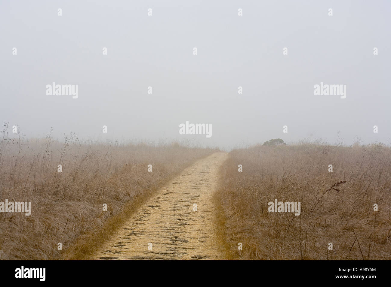 path and fog Stock Photo - Alamy