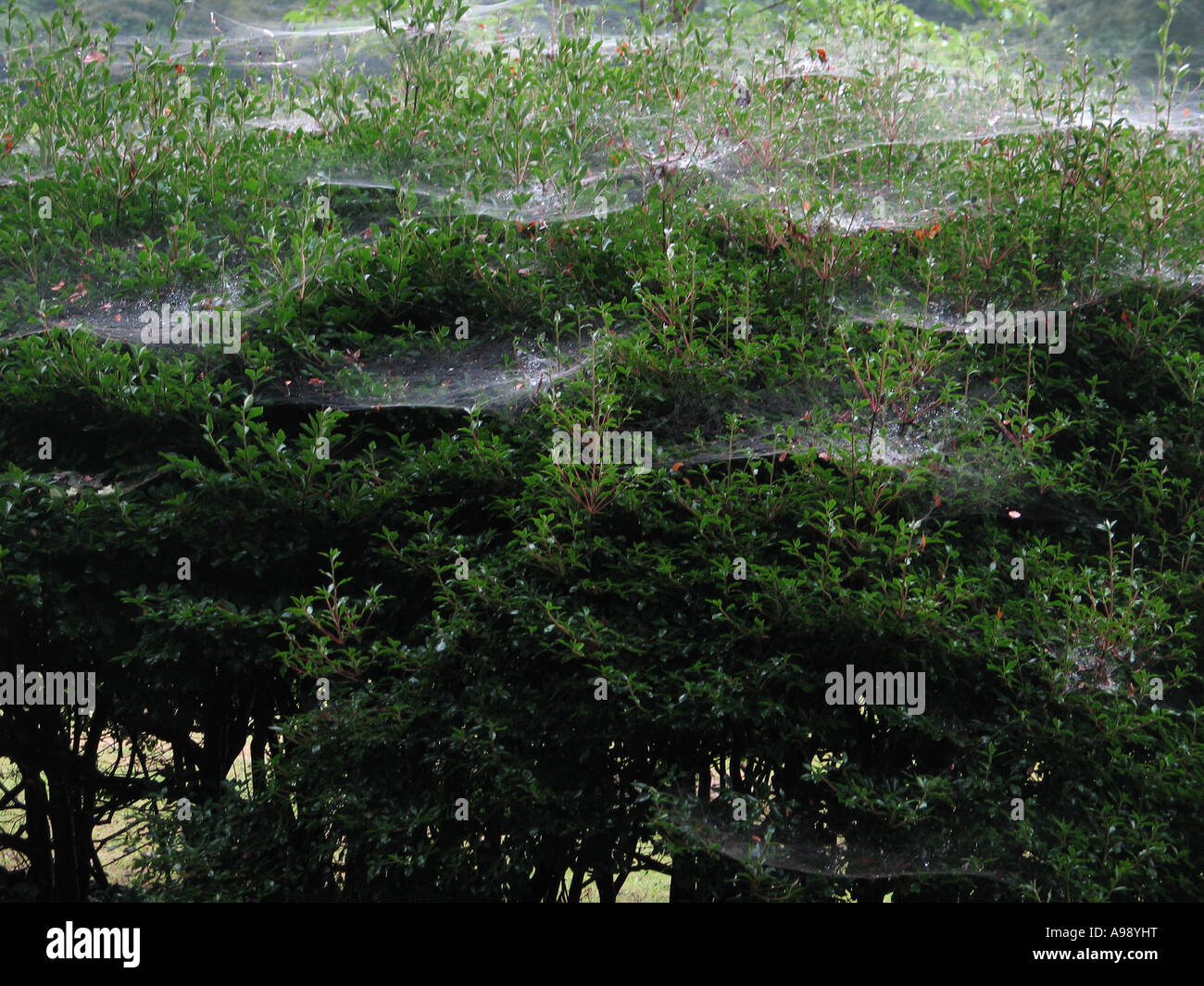 Drop nets hi-res stock photography and images - Alamy