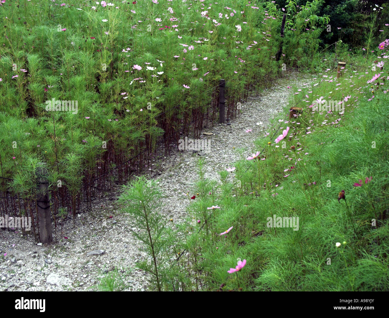 Tono iwate hi-res stock photography and images - Alamy