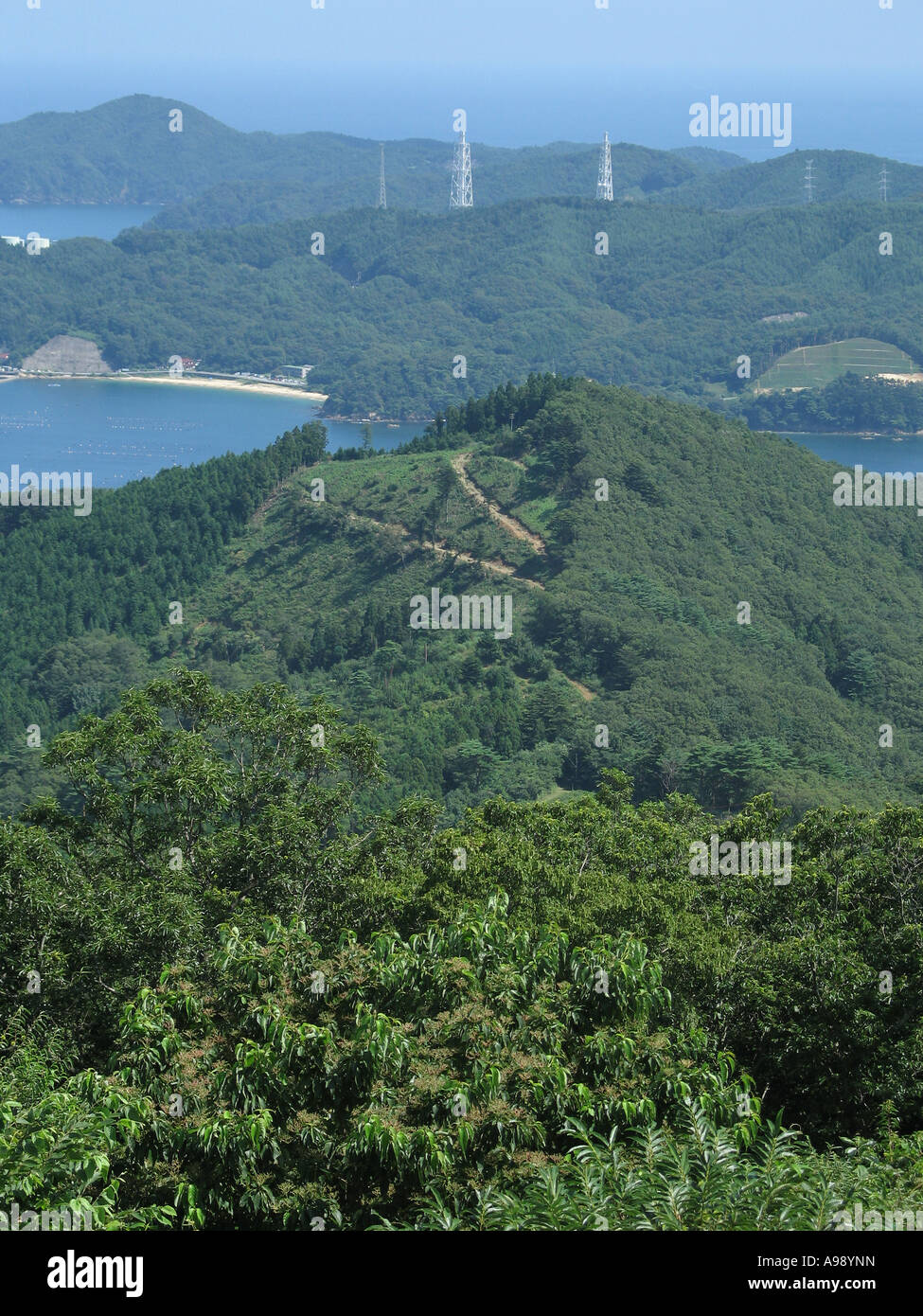 Oshika hi-res stock photography and images - Alamy