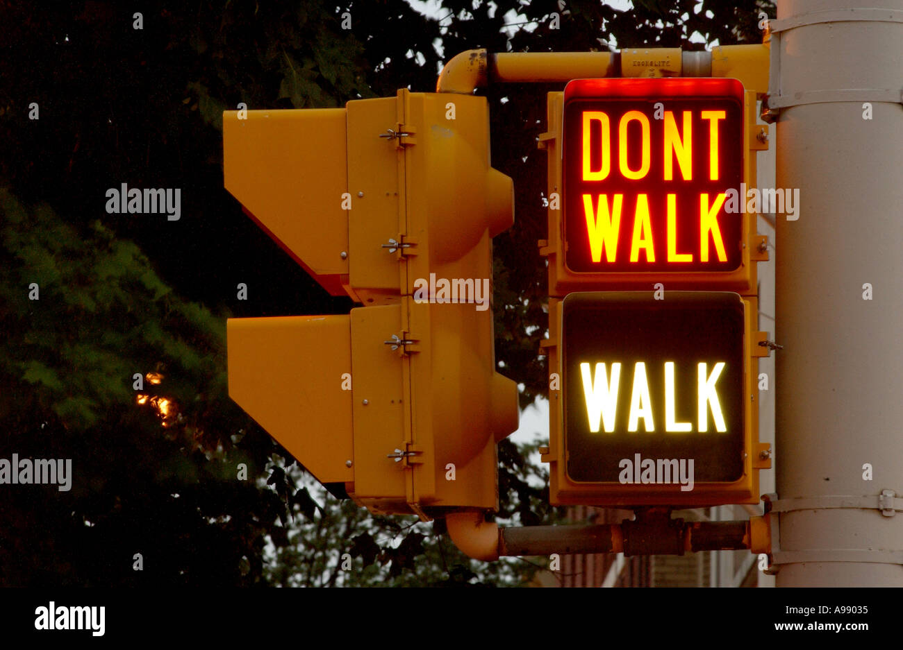 Horizontal color image of a street crossing sign showing both walk and ...