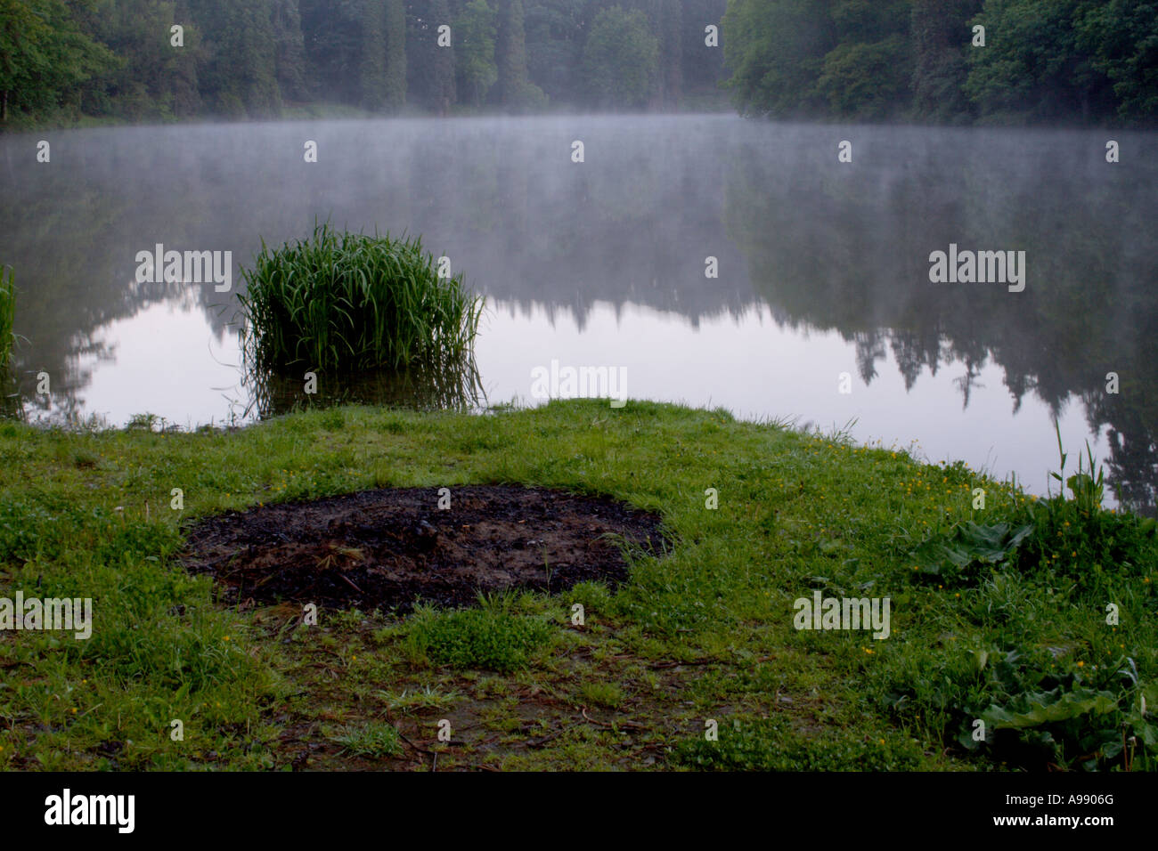A misty morning by a calm lake with green vegetation and remnants of a ...