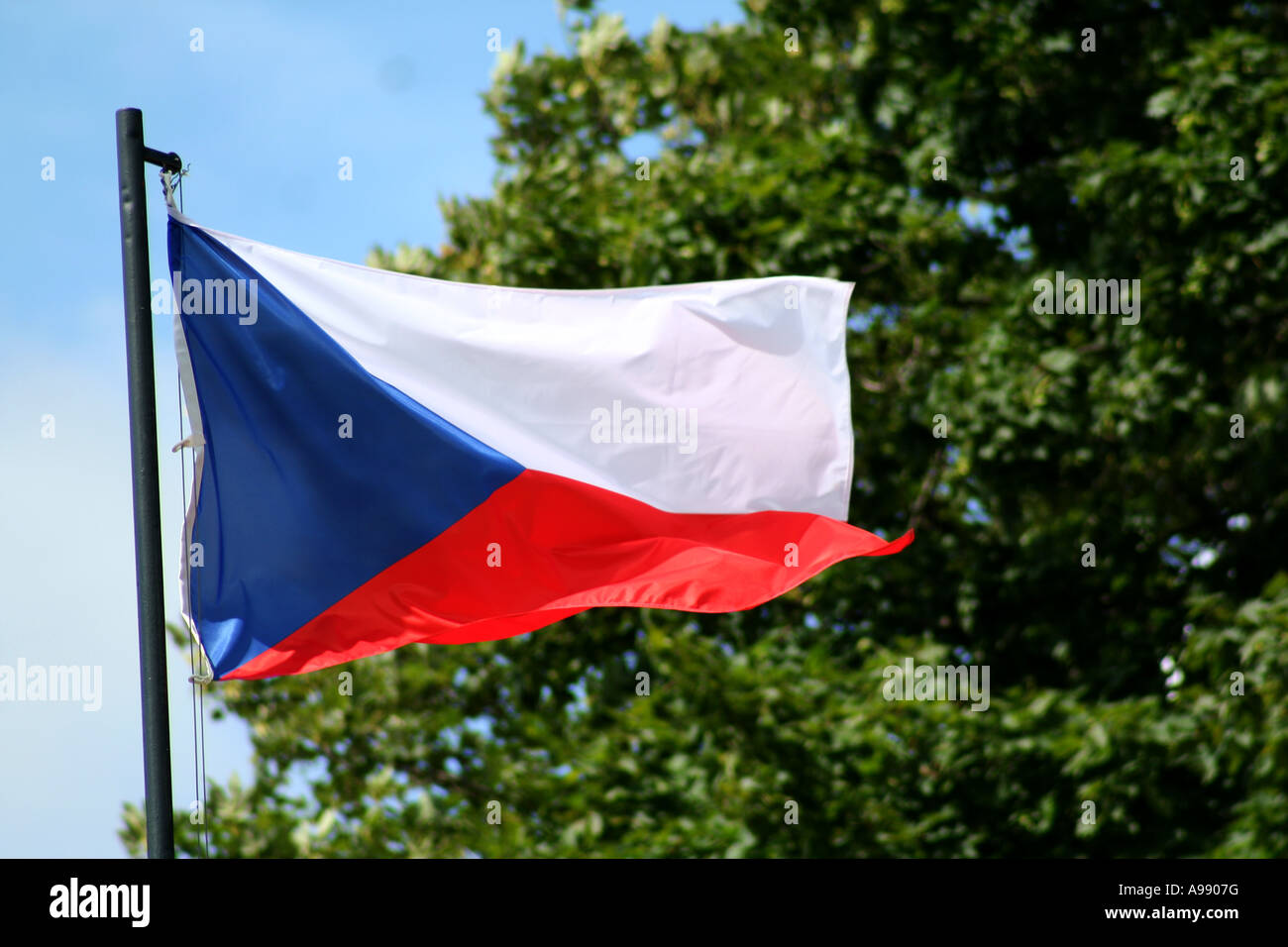 Czech Republic flag waving against a backdrop of lush greenery Stock ...