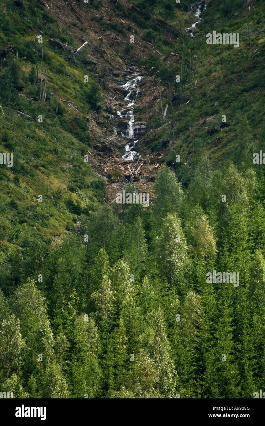 Pine trees waterfall hi-res stock photography and images - Alamy
