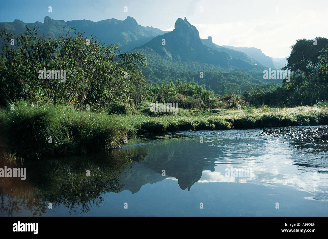 Gujuralle Peaks Harenna Forest and stream Bale Mountains National Park ...