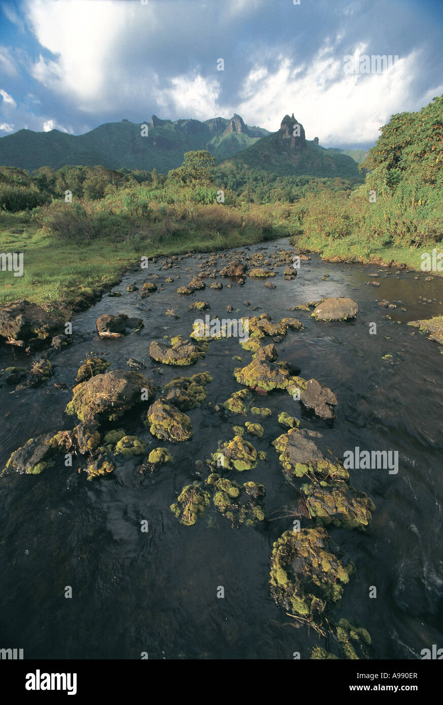 Gujuralle Peaks and a stream Harenna Forest Bale Mountains National ...