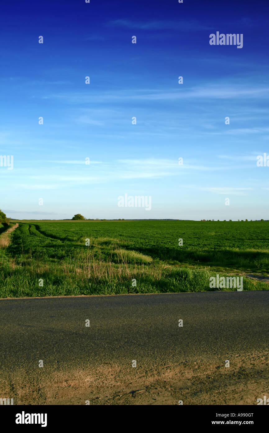 Rural asphalt road curves past vibrant green crop field under dramatic ...