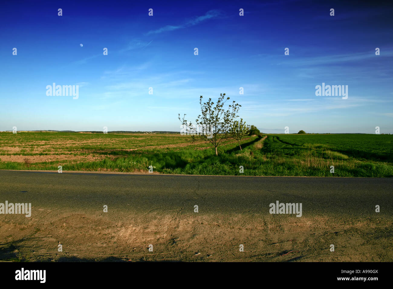 Open country field hi-res stock photography and images - Alamy
