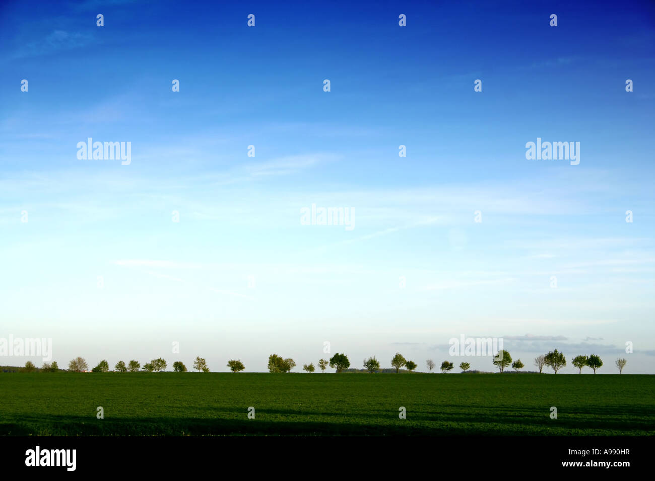 Trees silhouetted in perfect line along horizon of green field beneath ...