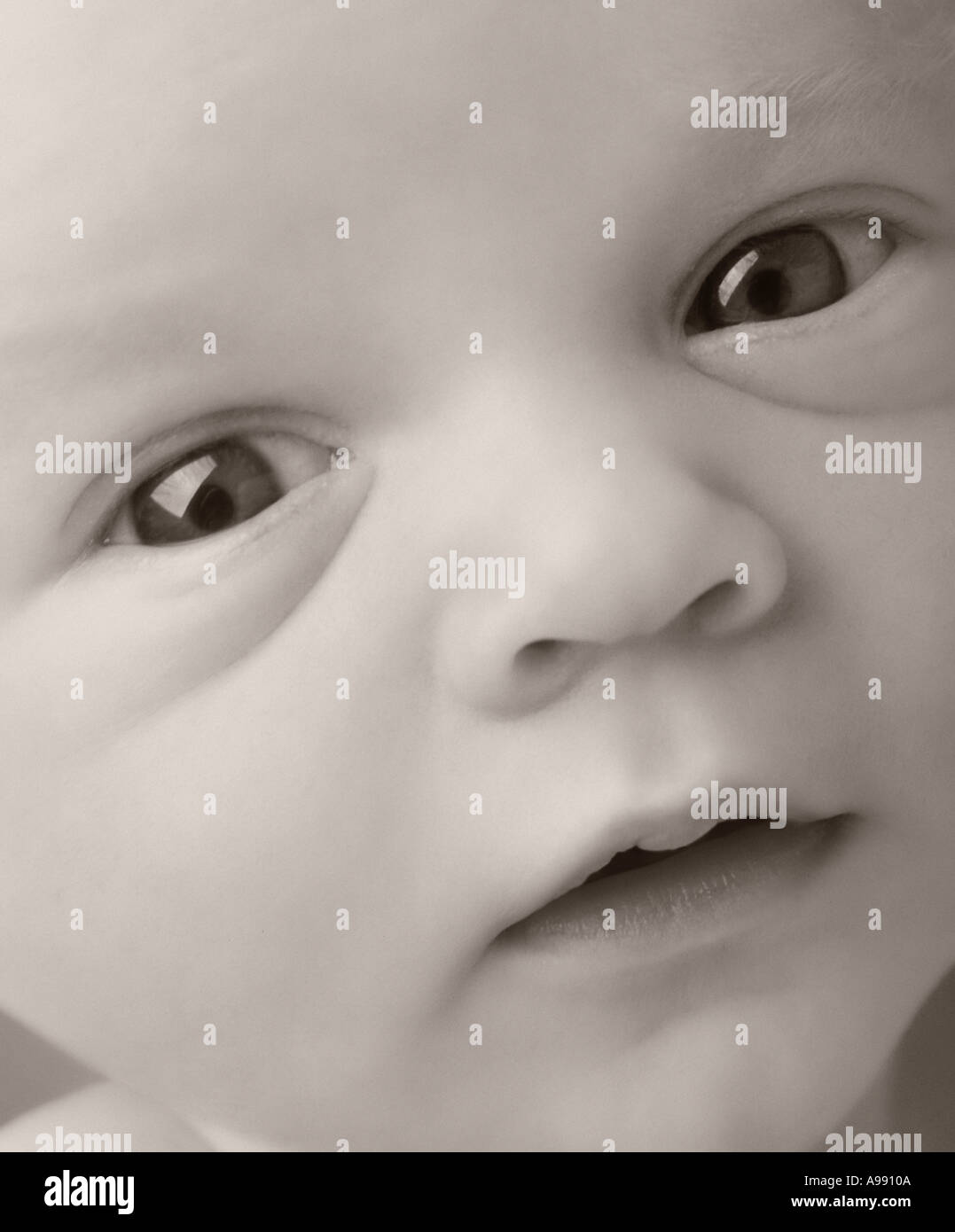 0 6 weeks old hi-res stock photography and images - Alamy