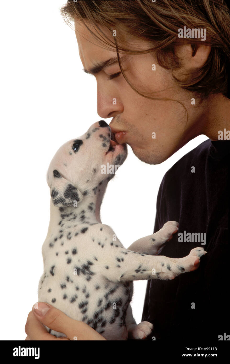 Dalmation Puppies High Resolution Stock Photography and Images - Alamy