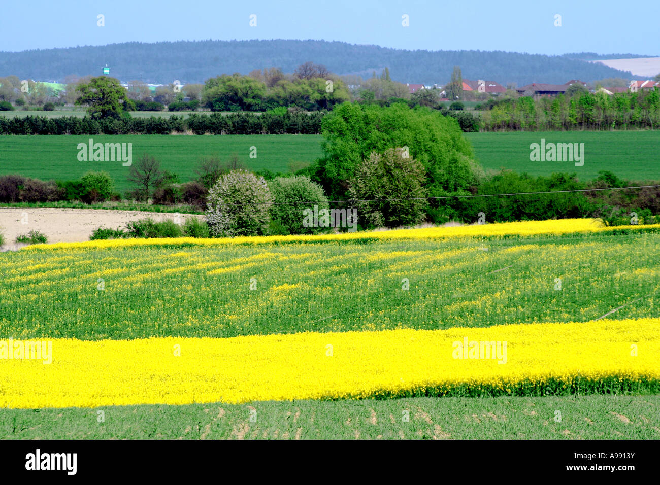 Fields spring blue sky hi-res stock photography and images - Alamy