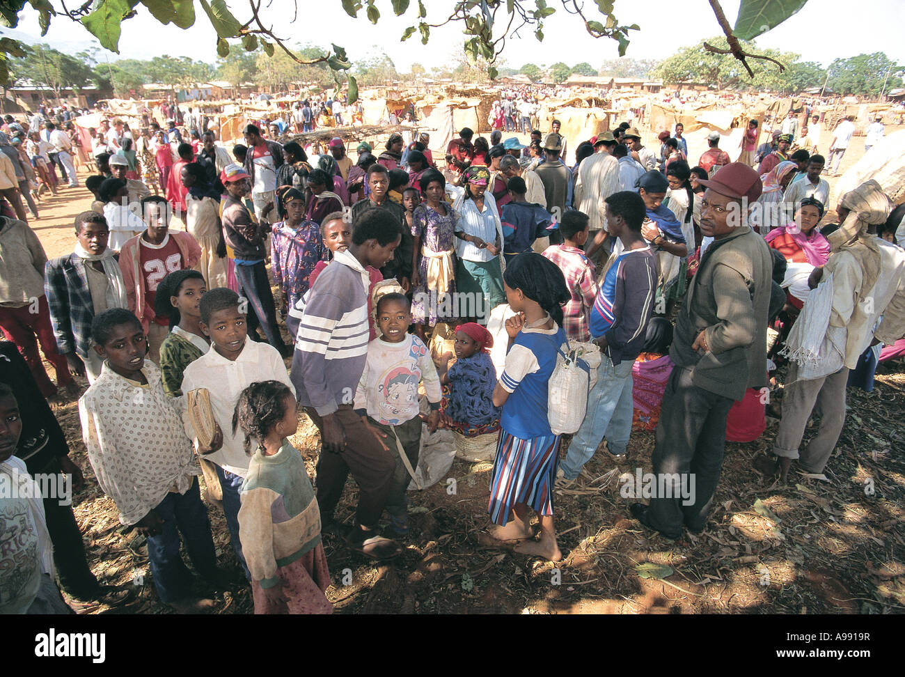 Sodo hi-res stock photography and images - Alamy