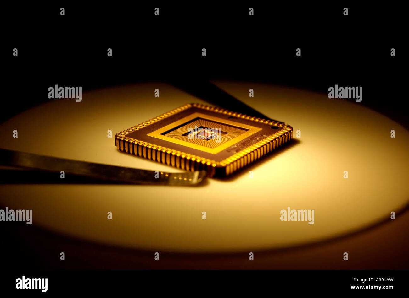 Silicon chip microscope hi-res stock photography and images - Alamy