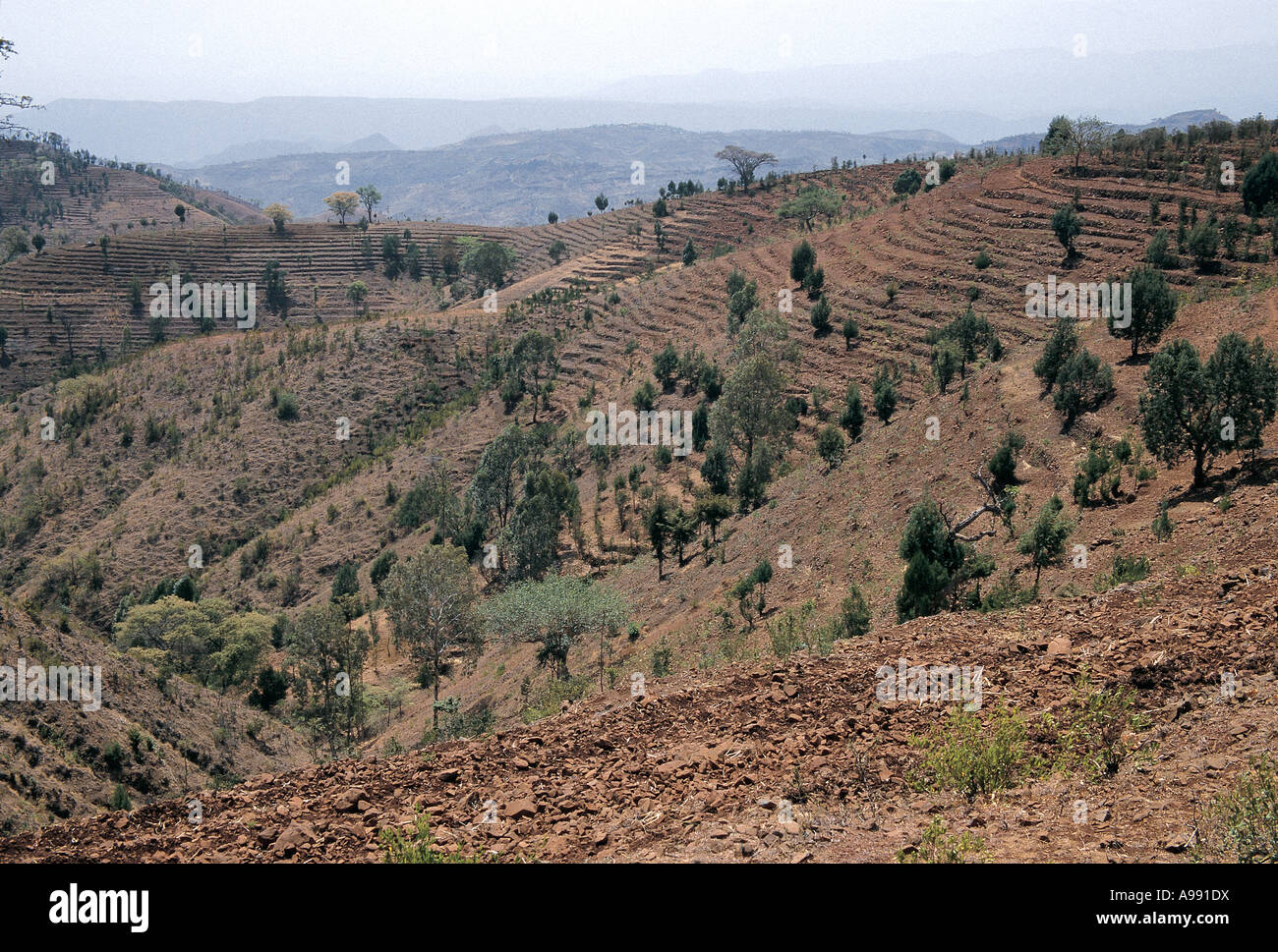 Terraces cut into the hillside Konso Ethiopia Stock Photo - Alamy