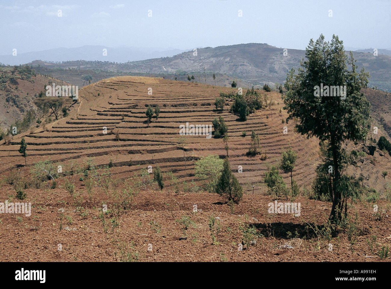 Terraces cut into the hillside Konso Ethiopia Stock Photo - Alamy