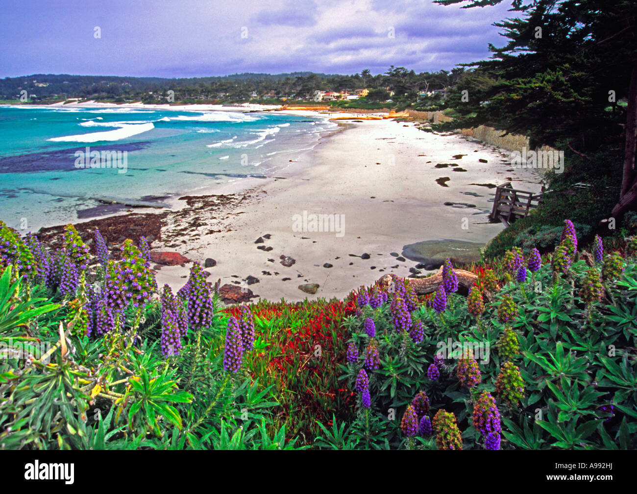 Carmel Beach, Carmel-by-the-sea, California, USA Stock Photo - Alamy