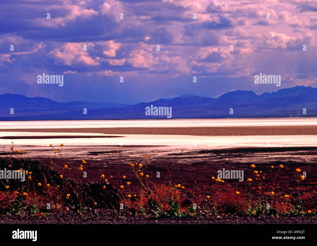 Death Valley National Park California USA Stock Photo - Alamy